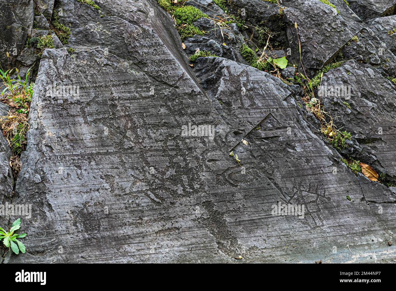 Valcamonica arte rupestre immagini e fotografie stock ad alta ...