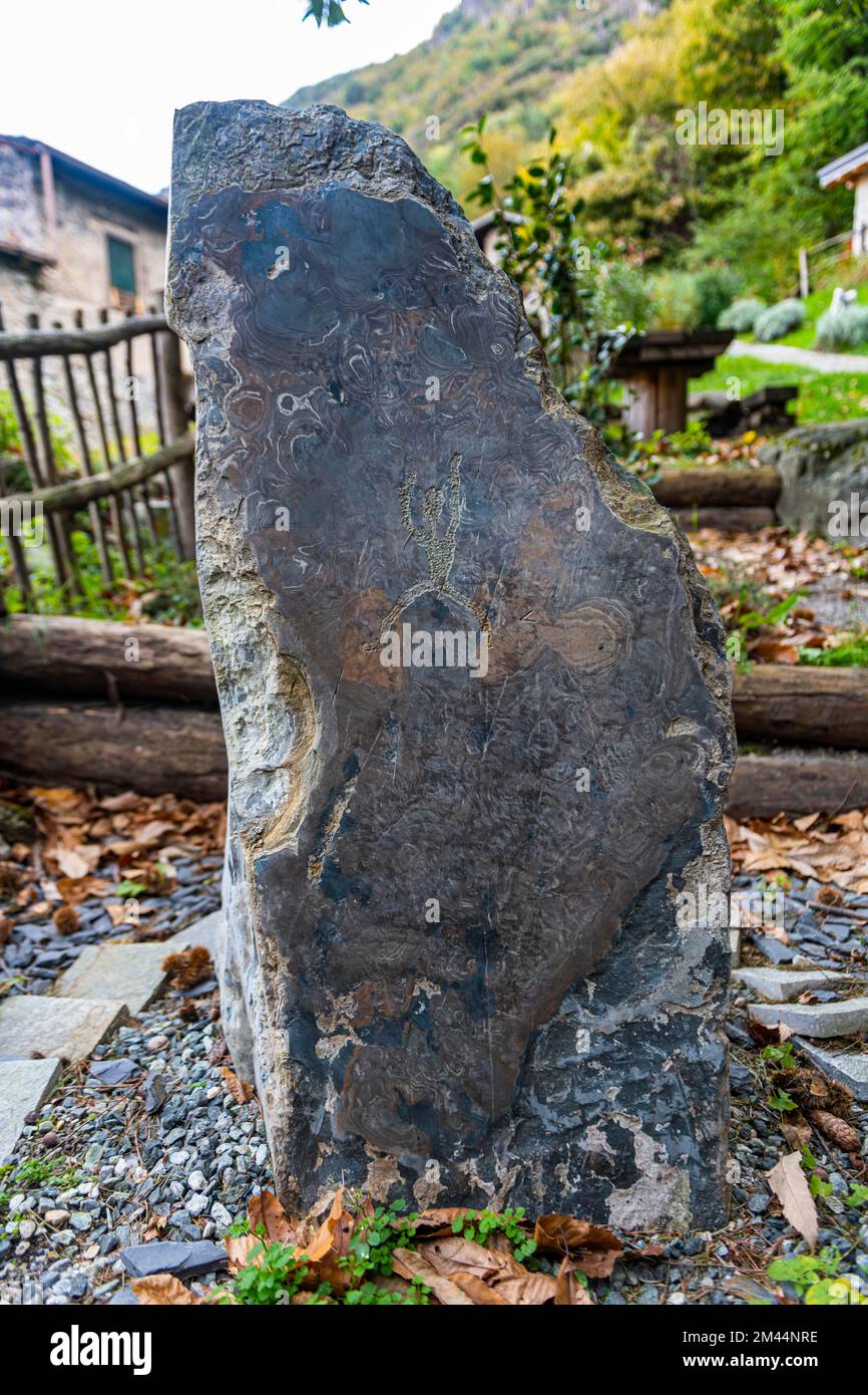 Naquane park immagini e fotografie stock ad alta risoluzione - Alamy