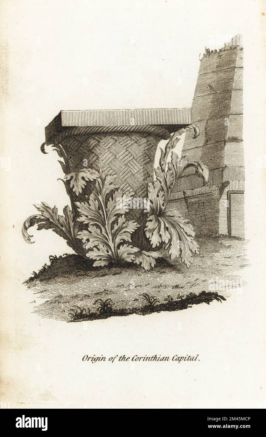 Capitello corinzio disegno immagini e fotografie stock ad alta ...