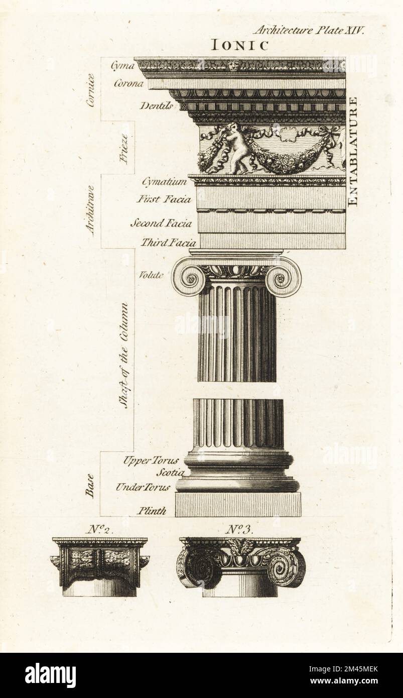 Ordine ionico dal Tempio di Fortuna Virilis, Roma. Entablature con ...