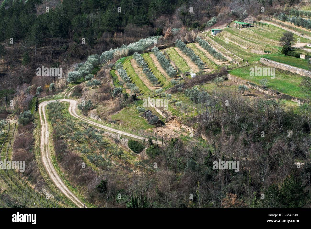 Una scena sull'olio stradale immagini e fotografie stock ad alta ...