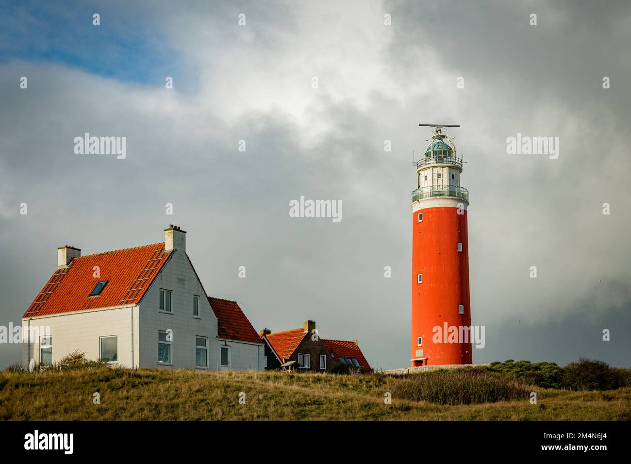 Island texel immagini e fotografie stock ad alta risoluzione - Alamy