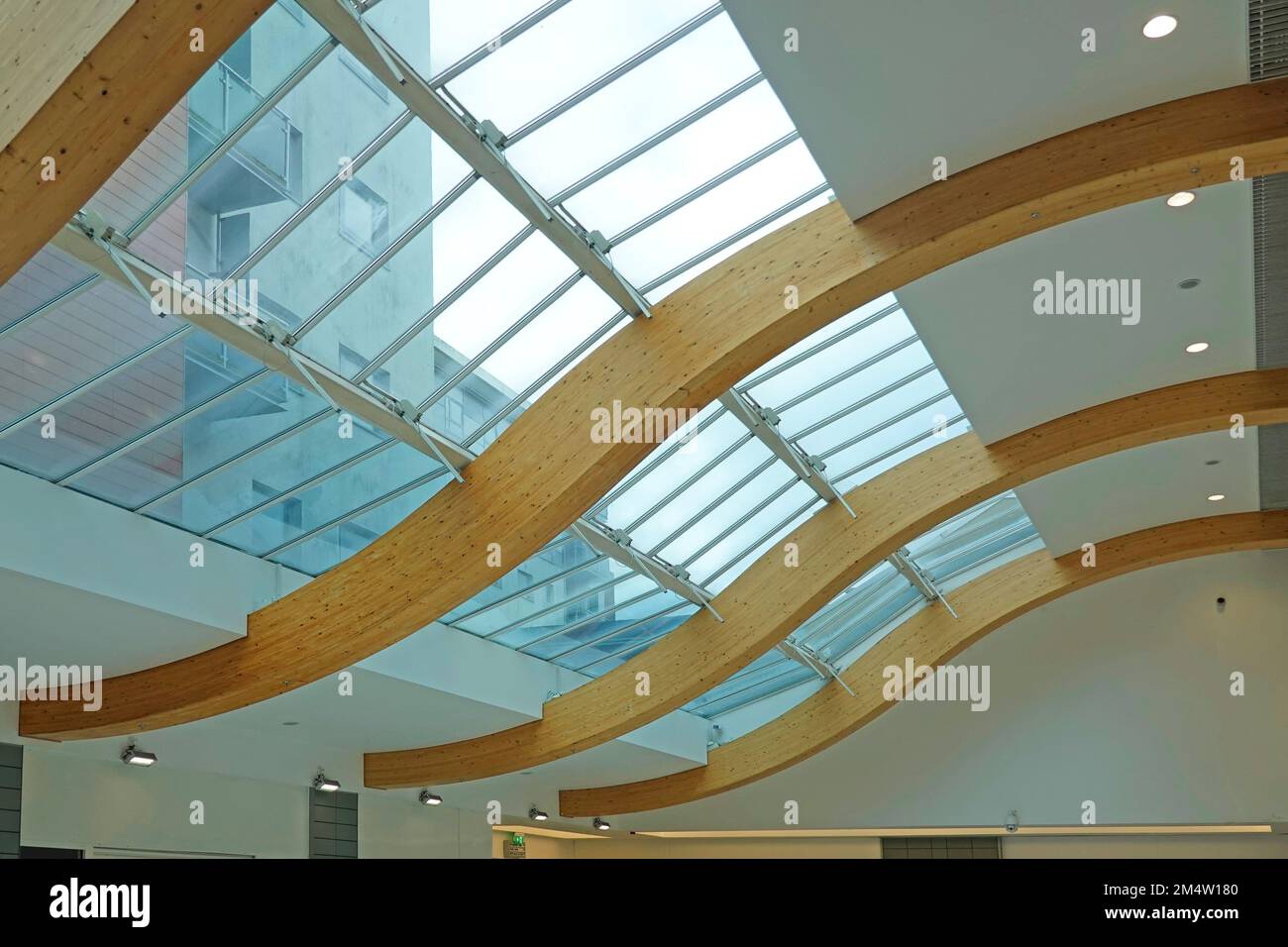 Struttura curvata in legno laminato glulam tetto struttura portante ...