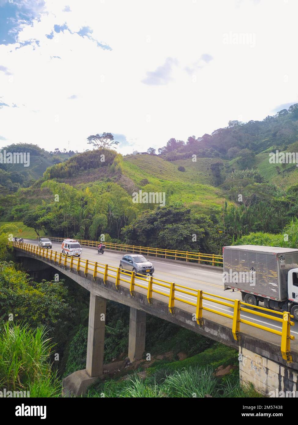 Variante la romelia el pollo immagini e fotografie stock ad alta ...