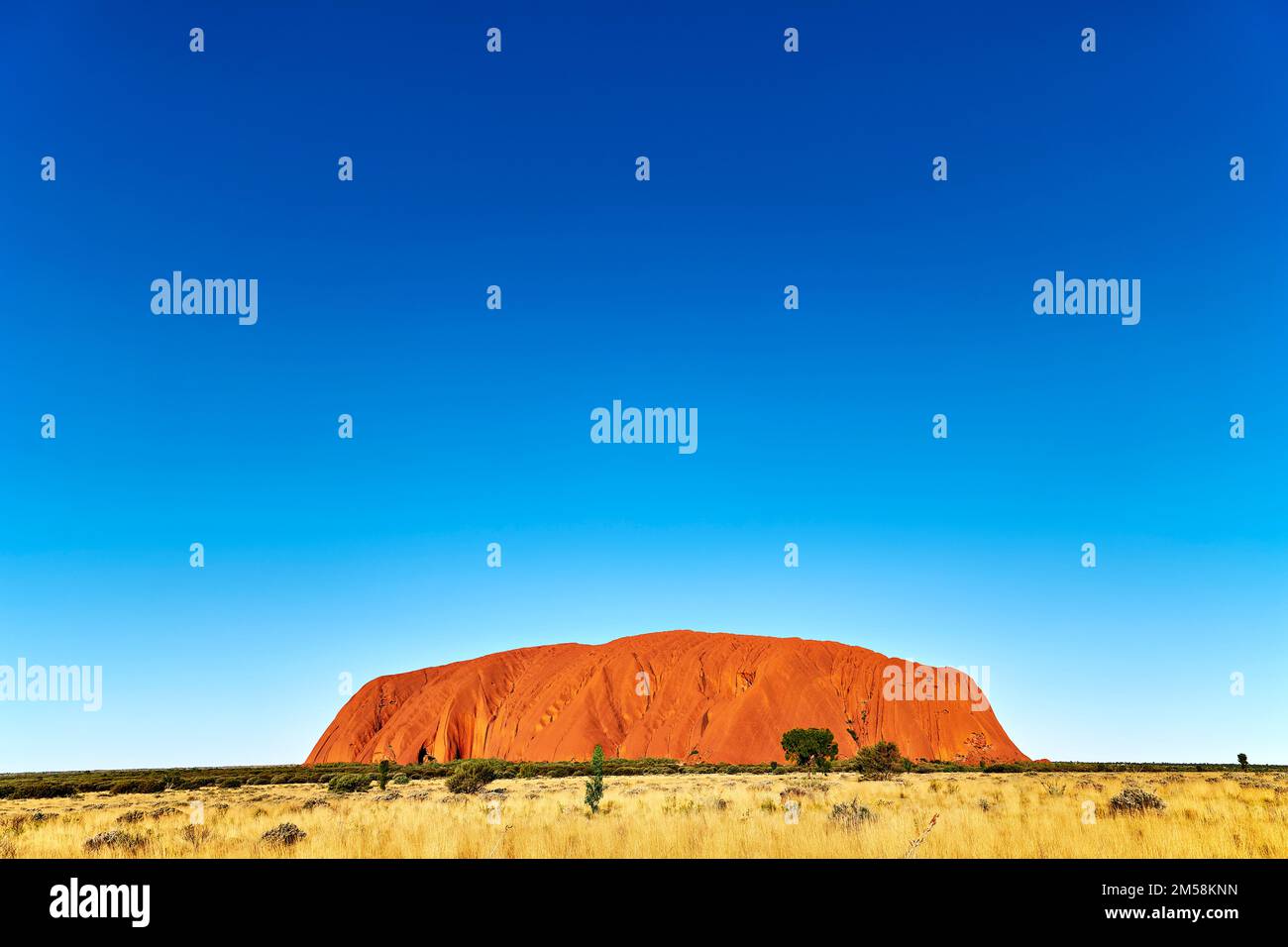 Savana australia immagini e fotografie stock ad alta risoluzione - Alamy