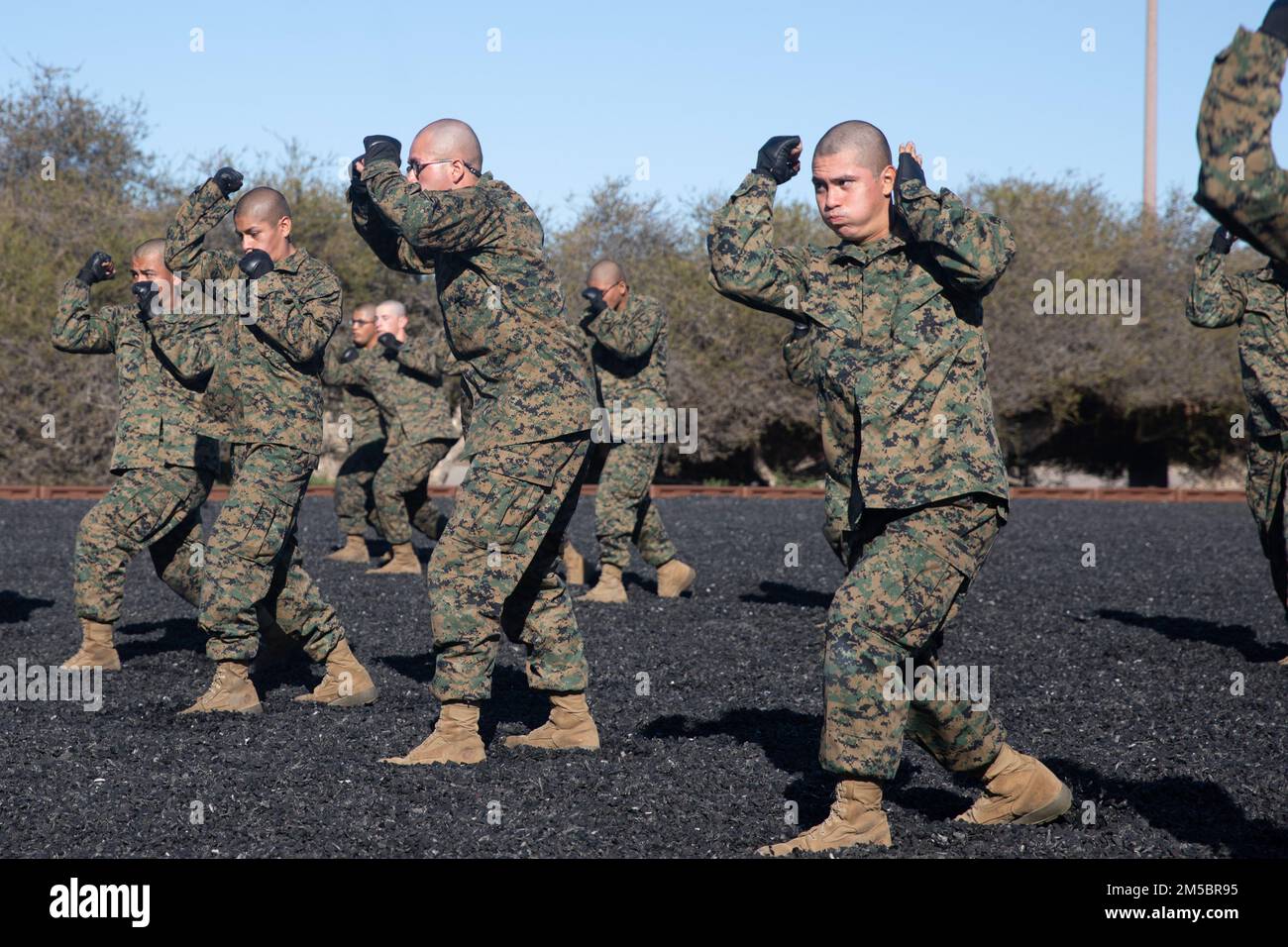Formazione mcmap immagini e fotografie stock ad alta risoluzione - Alamy