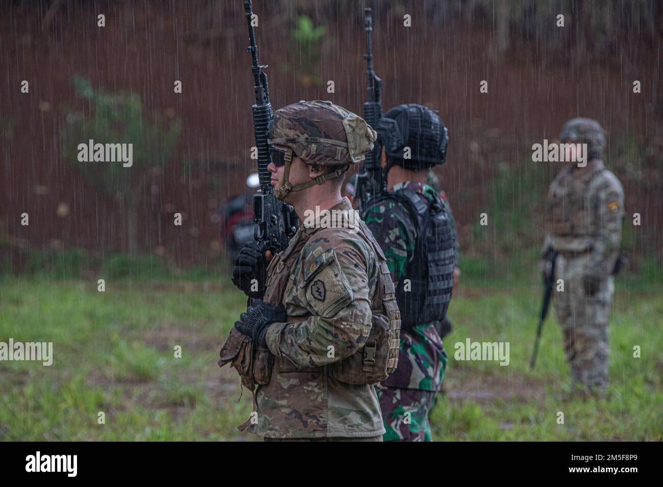 Soldati della truppe di Charlie, 2 Squadrone, 14th Reggimento di ...