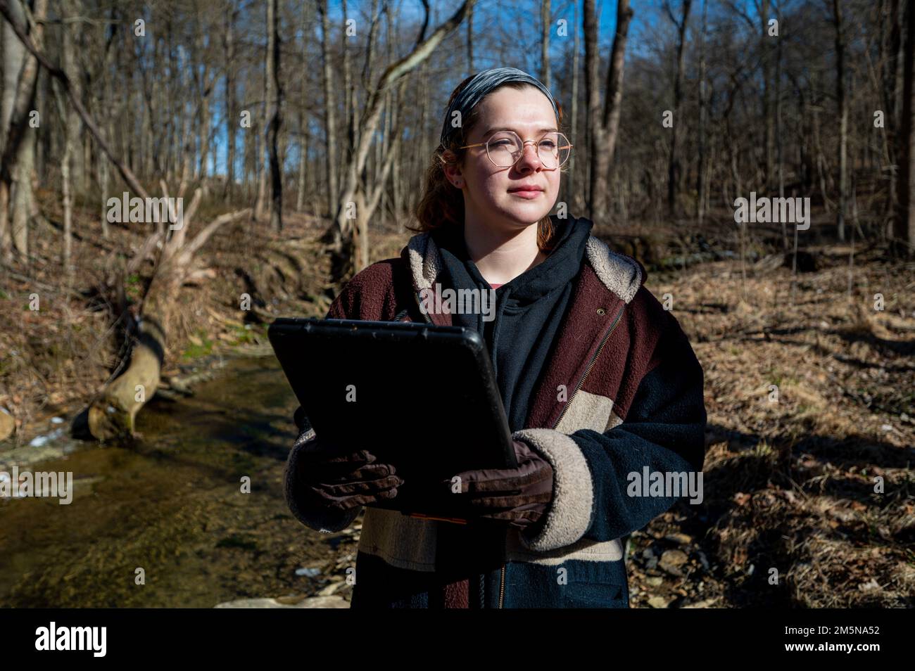 Divisione normativa immagini e fotografie stock ad alta risoluzione - Alamy