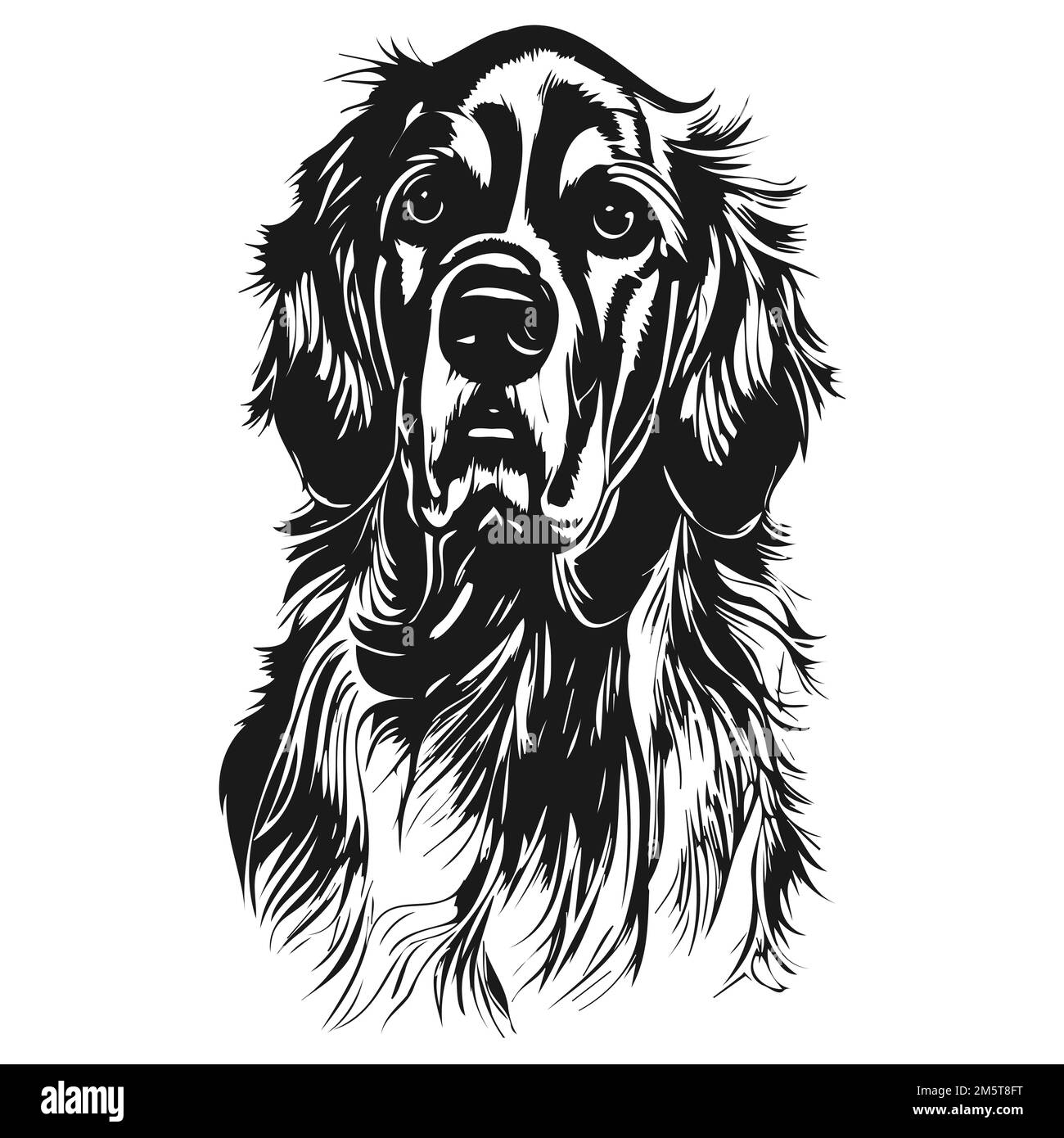 Immagini in bianco e nero Immagini Vettoriali Stock - Alamy