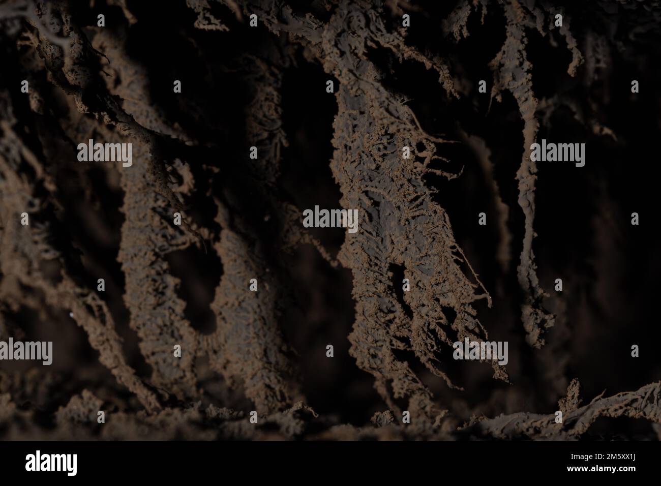 Depositi di catrame immagini e fotografie stock ad alta risoluzione - Alamy