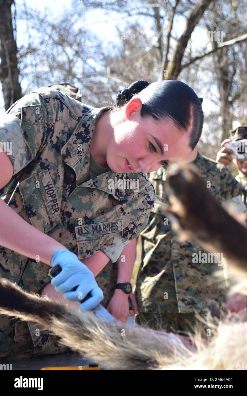 Casey Hopper, un centro di addestramento delle armi combinato Camp Fuji ...