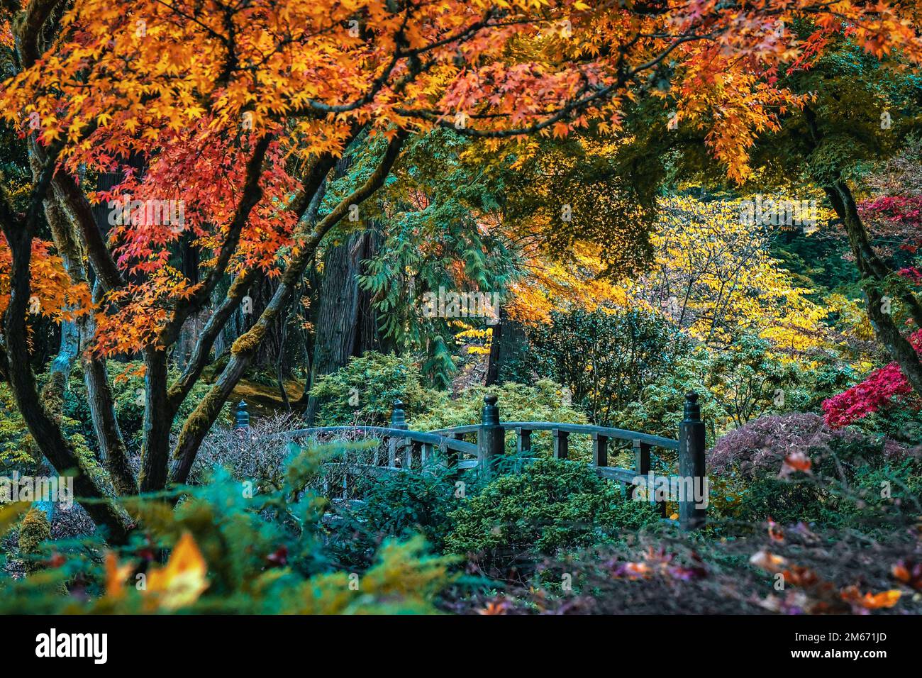 Portland japanese garden immagini e fotografie stock ad alta risoluzione - Alamy