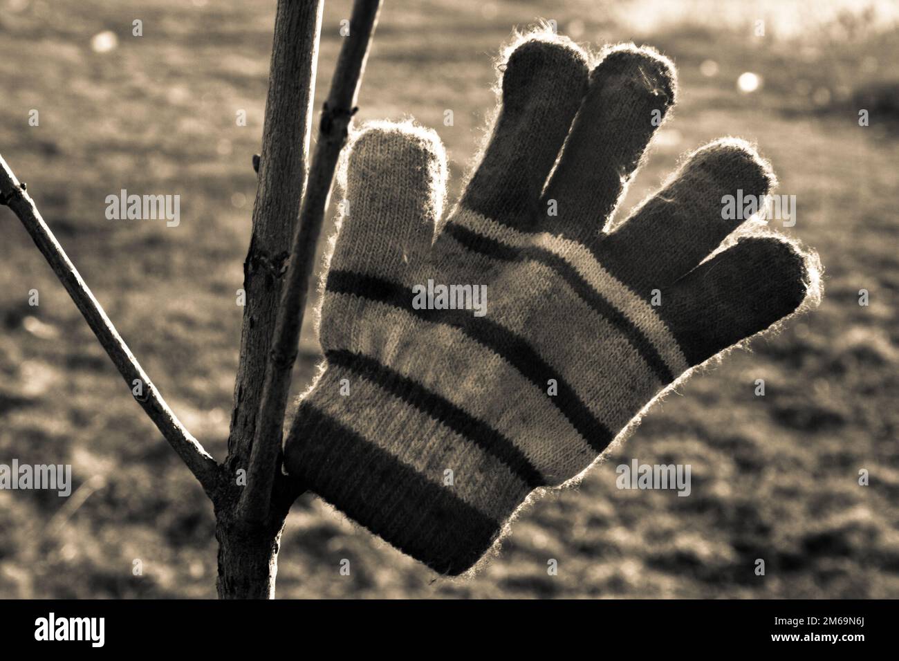 Forma del guanto immagini e fotografie stock ad alta risoluzione - Alamy