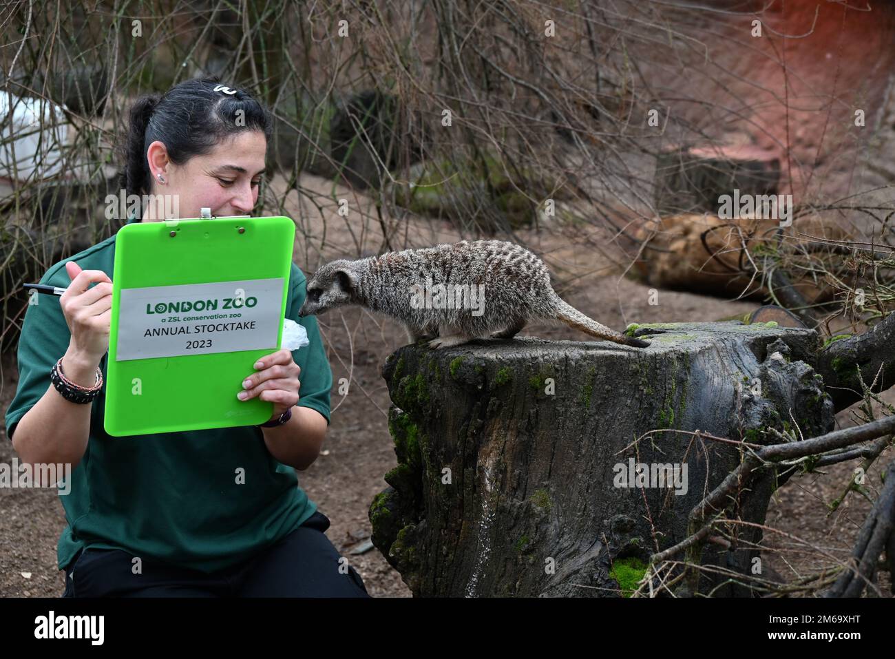 Gli amanti dello zokeeper londinesi hanno ottenuto di nuovo le loro ...