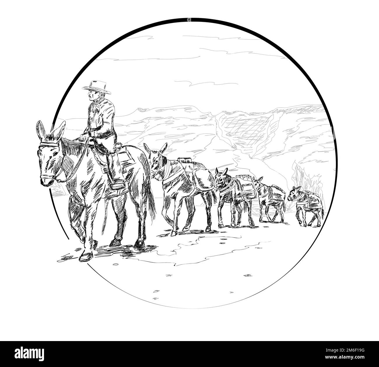 Disegno di muli immagini e fotografie stock ad alta risoluzione - Alamy