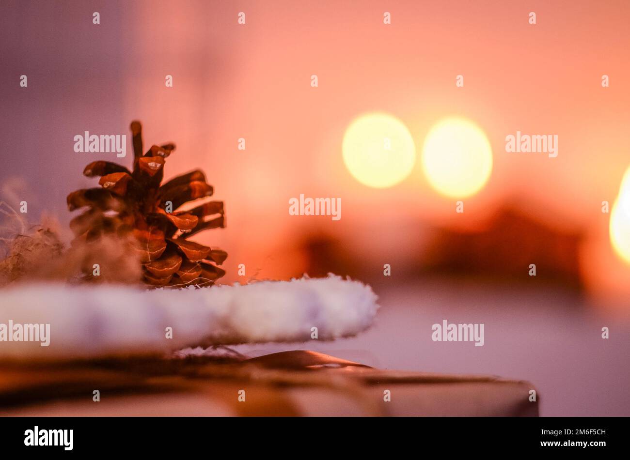 Conifere decorative immagini e fotografie stock ad alta risoluzione - Alamy