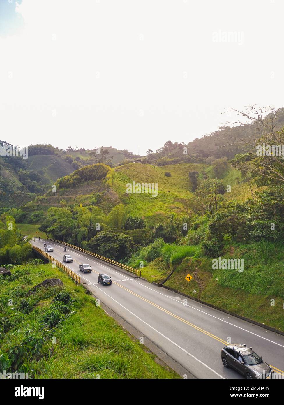 Variante la romelia el pollo immagini e fotografie stock ad alta ...
