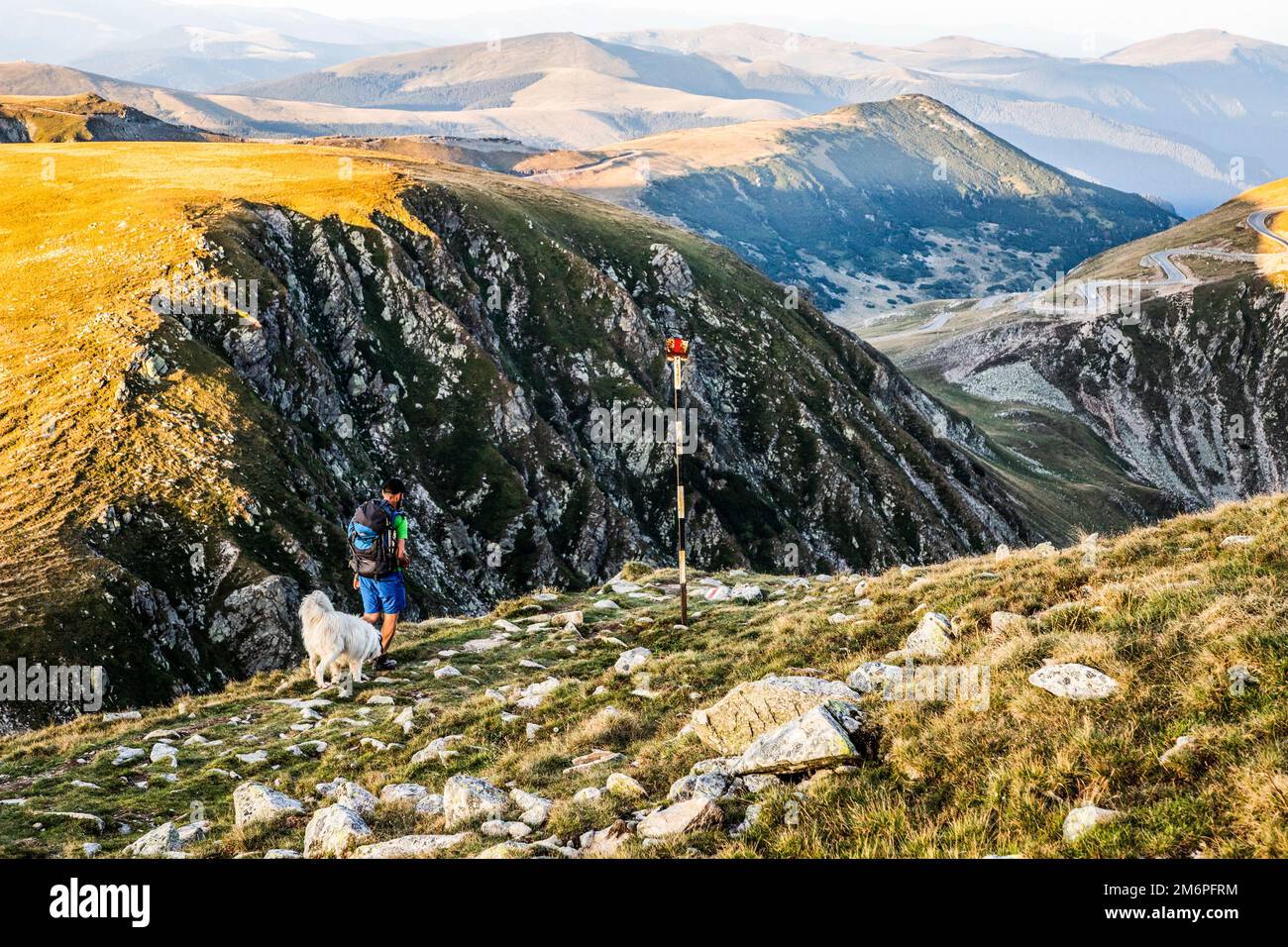 Cane da trekking immagini e fotografie stock ad alta risoluzione - Alamy
