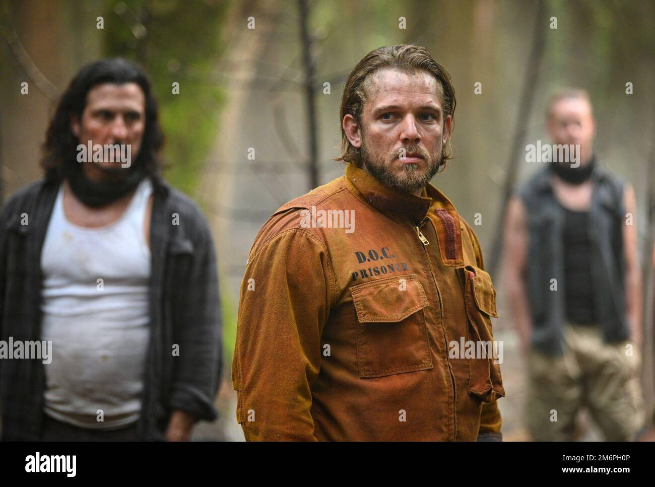 Fuoco di campagna immagini e fotografie stock ad alta risoluzione - Alamy