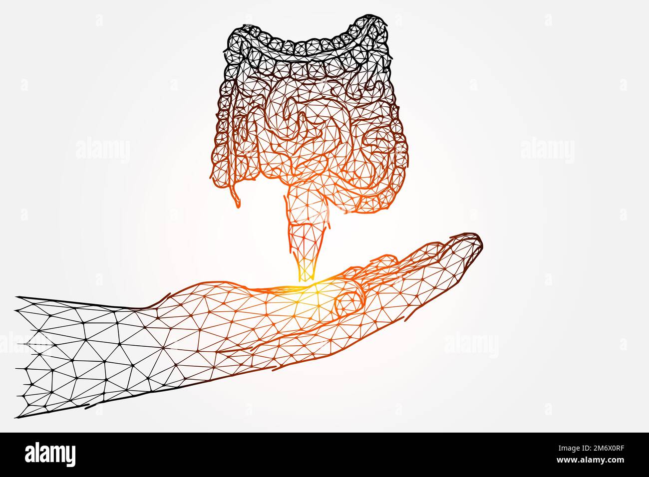 Intestino umano immagini e fotografie stock ad alta risoluzione - Alamy