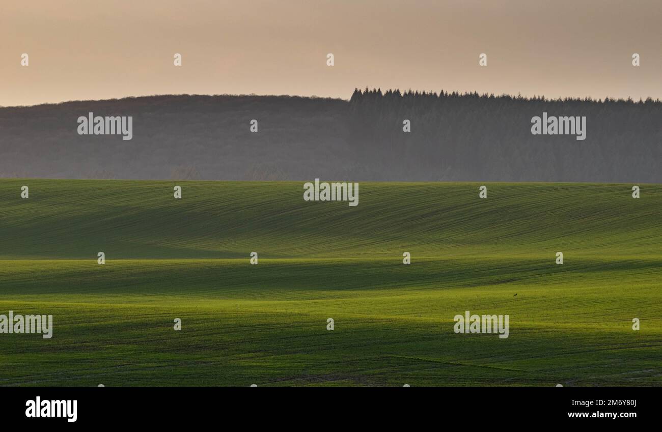 Verdi colline paesaggistiche immagini e fotografie stock ad alta ...