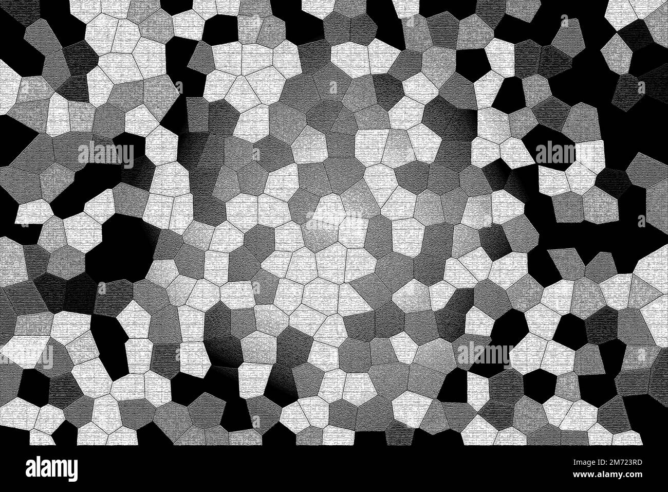 Alta risoluzione natura Foto e Immagini Stock in Bianco e Nero - Alamy