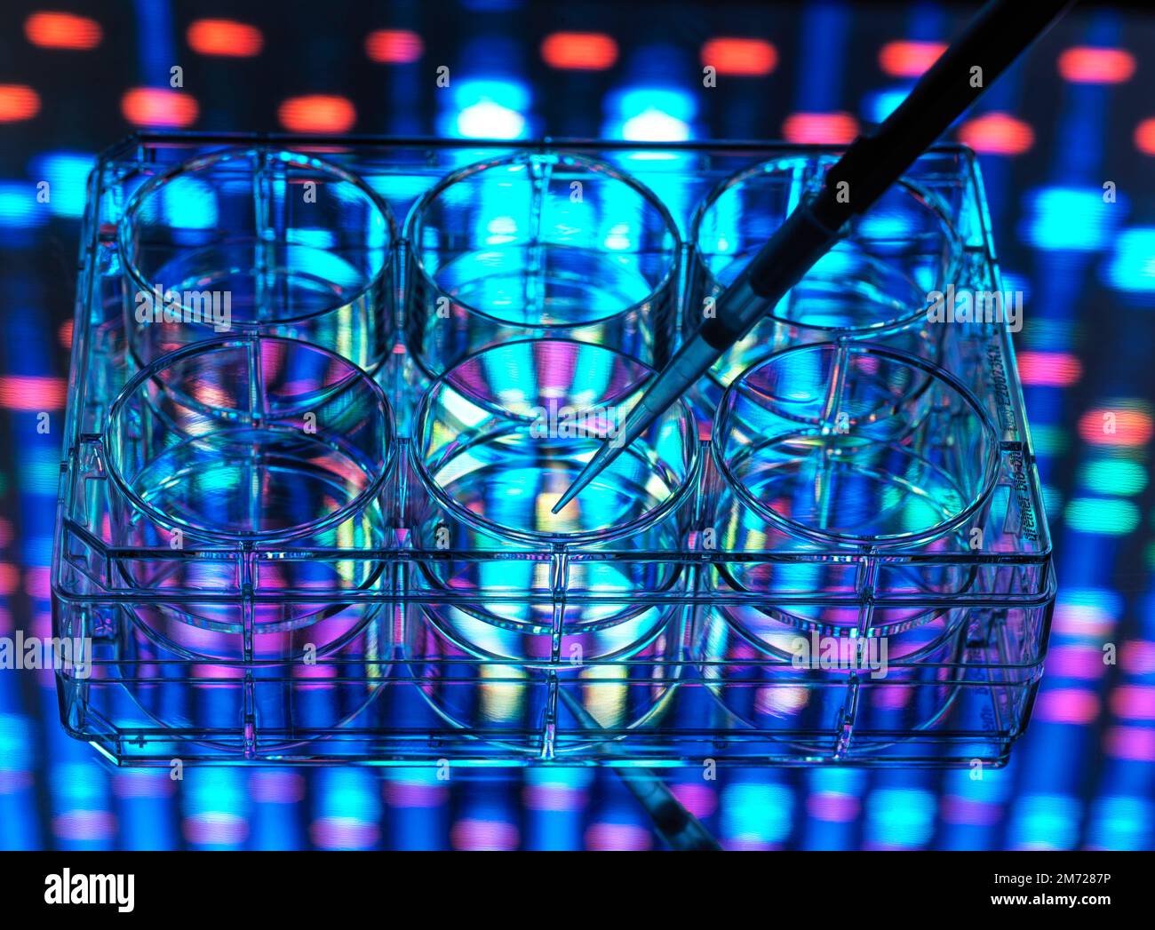 Gene profile immagini e fotografie stock ad alta risoluzione - Alamy