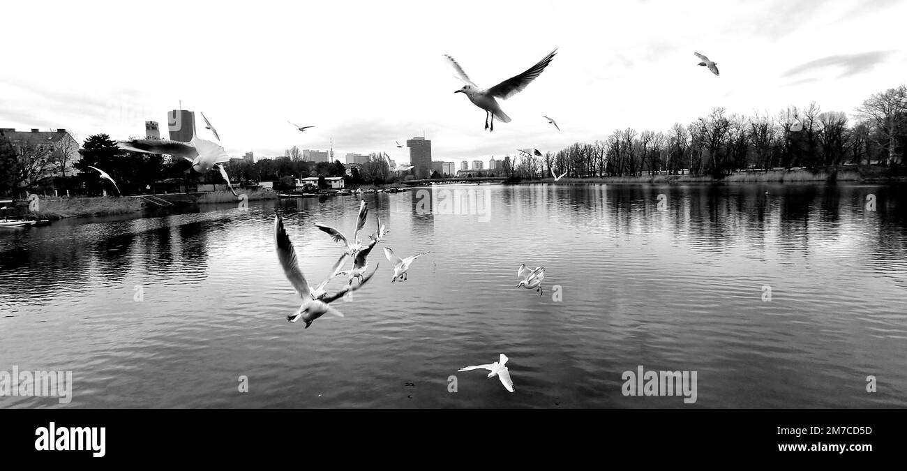 Bellissimo fiume danubio blu immagini e fotografie stock ad alta ...