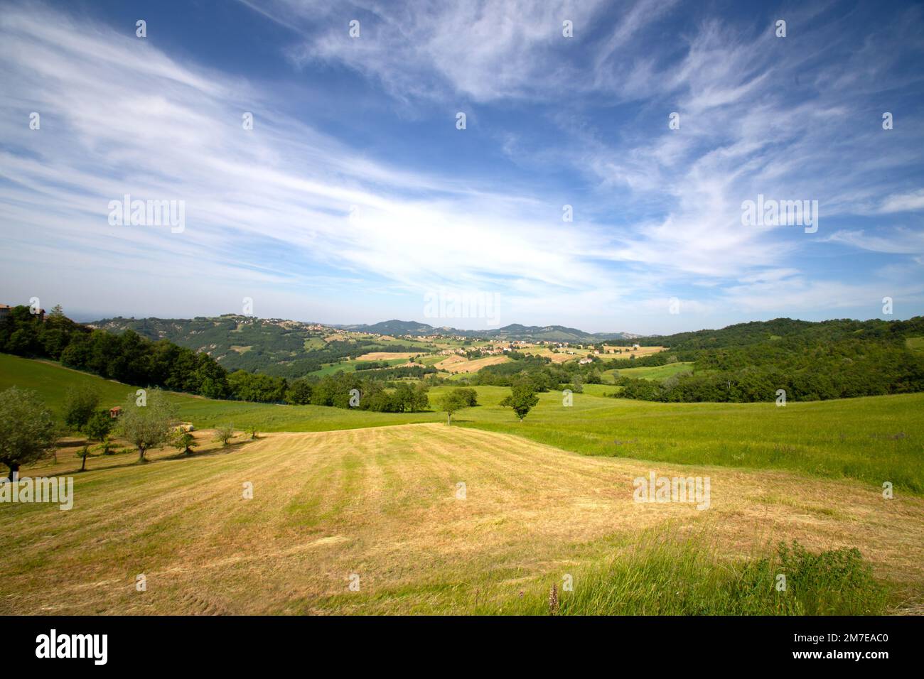 Pianura padana allevamento immagini e fotografie stock ad alta ...