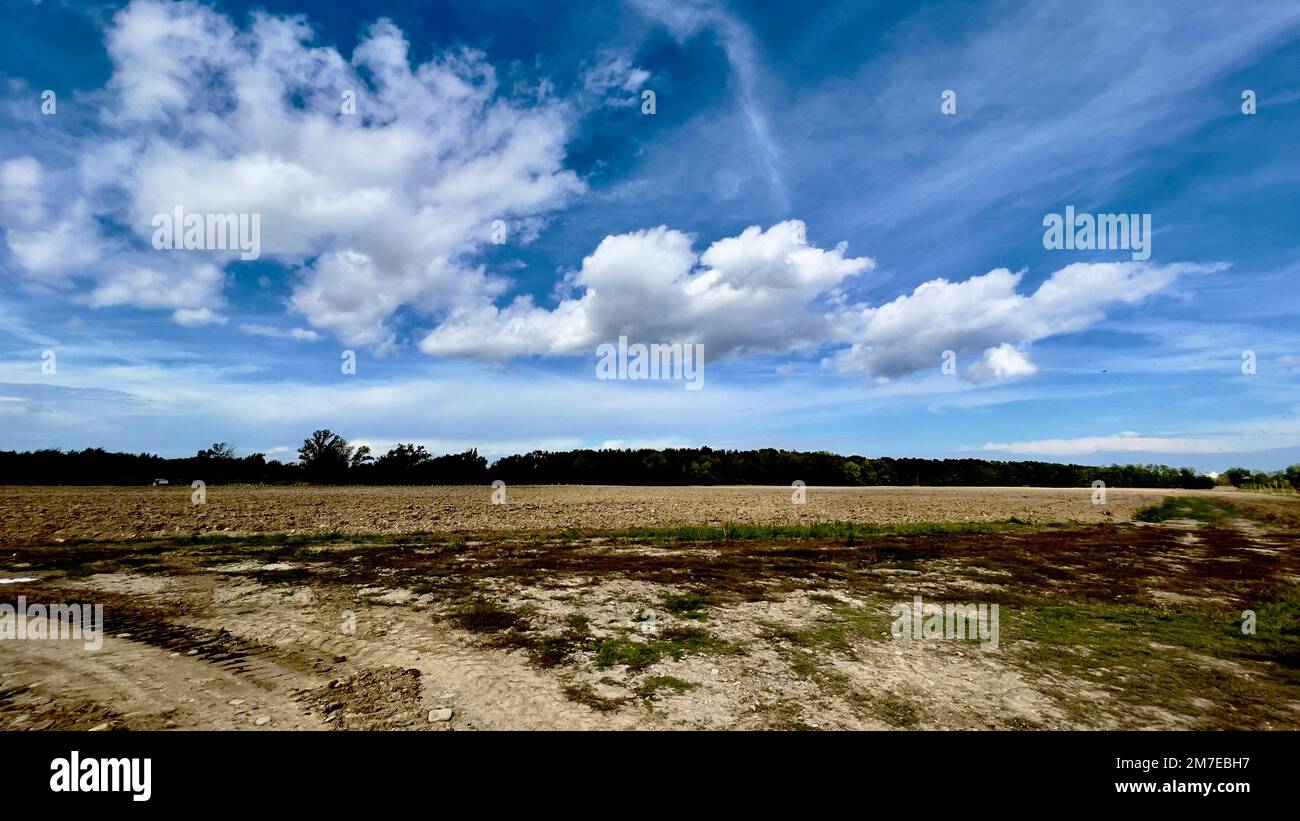 Pianura padana allevamento immagini e fotografie stock ad alta ...