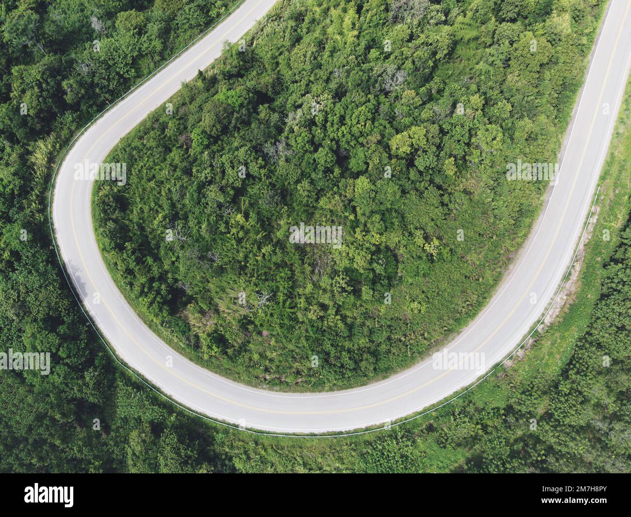 Curva strada top - aereo vista dall'alto strada rurale nella foresta ...