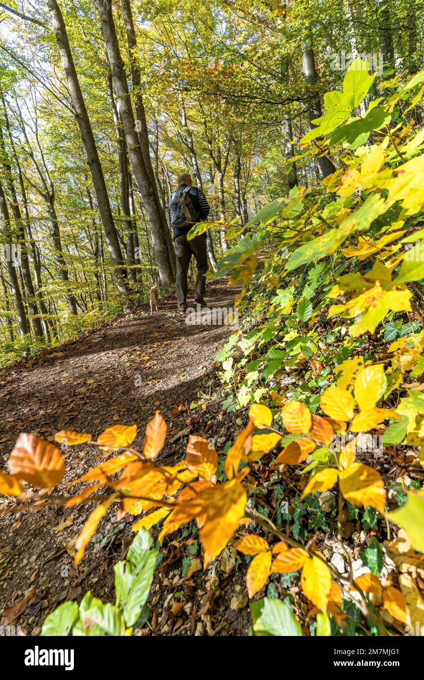 Regione della biosfera giura svevo immagini e fotografie stock ad alta ...