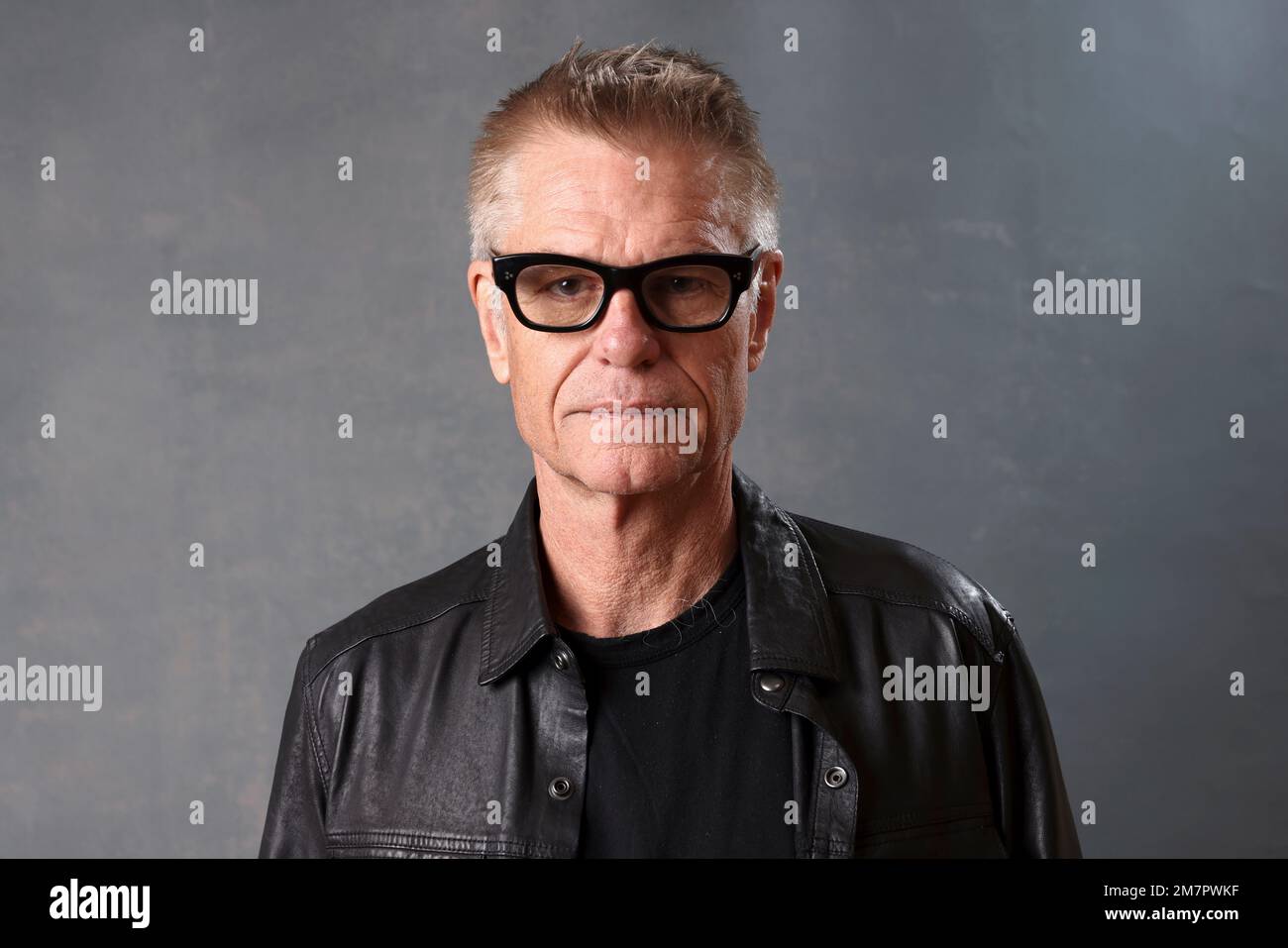 Harry Hamlin, a cast member in the AMC television series "Mayfair ...