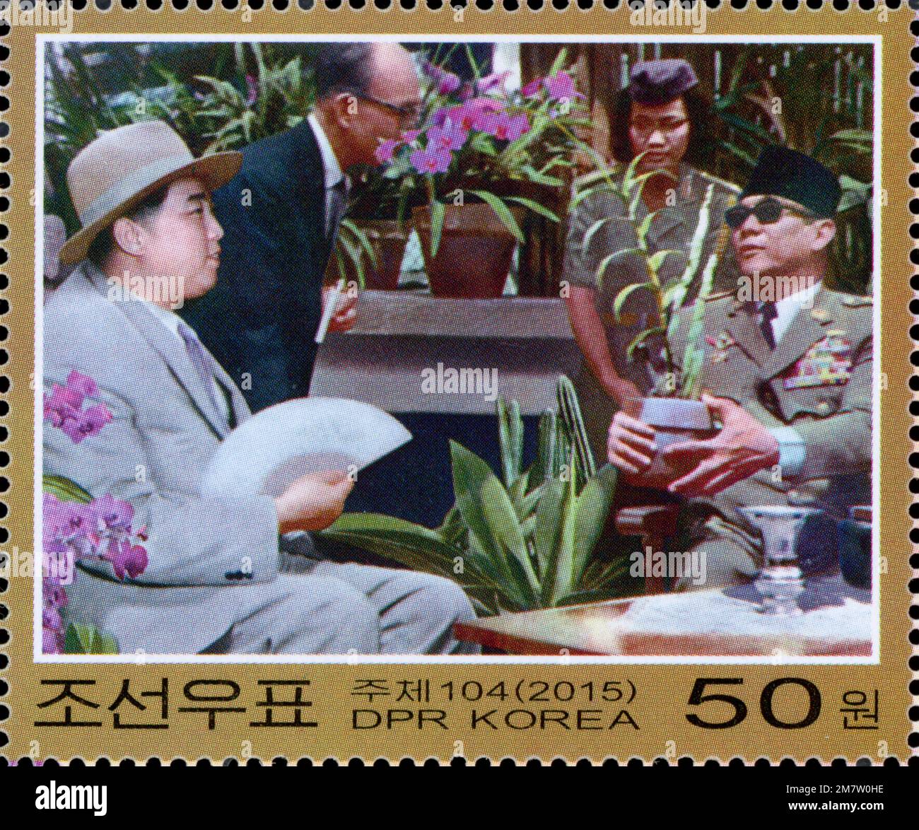 Dendrobium clara bundt immagini e fotografie stock ad alta risoluzione ...