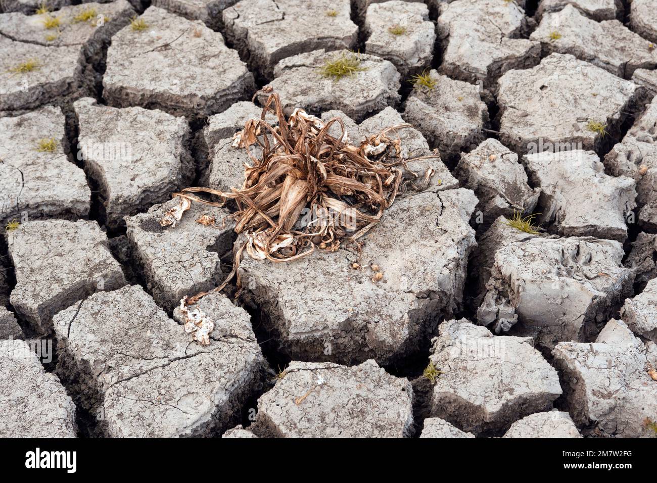 Inquinamento del suolo immagini e fotografie stock ad alta risoluzione - Alamy