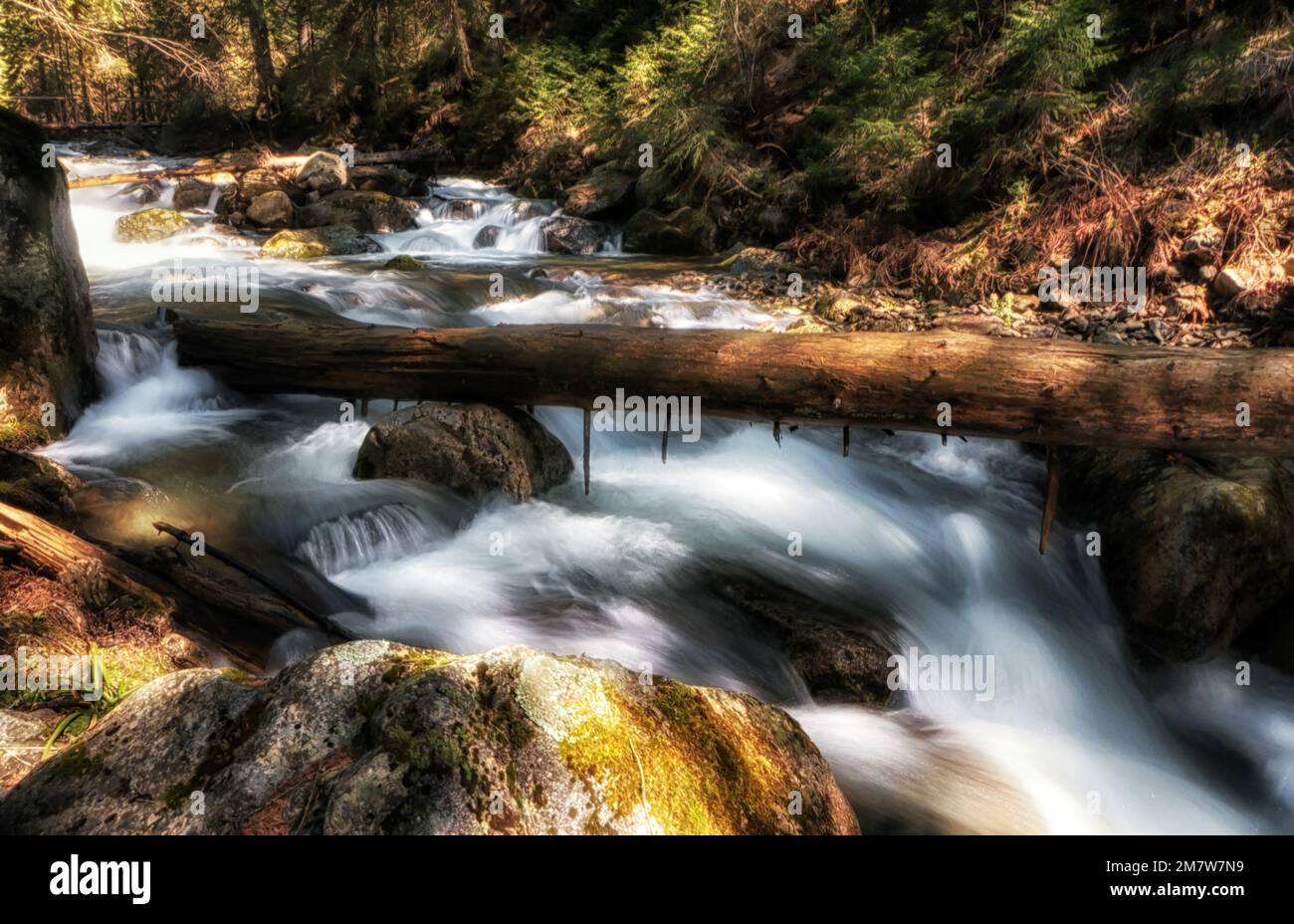Jalovecka dolina immagini e fotografie stock ad alta risoluzione - Alamy
