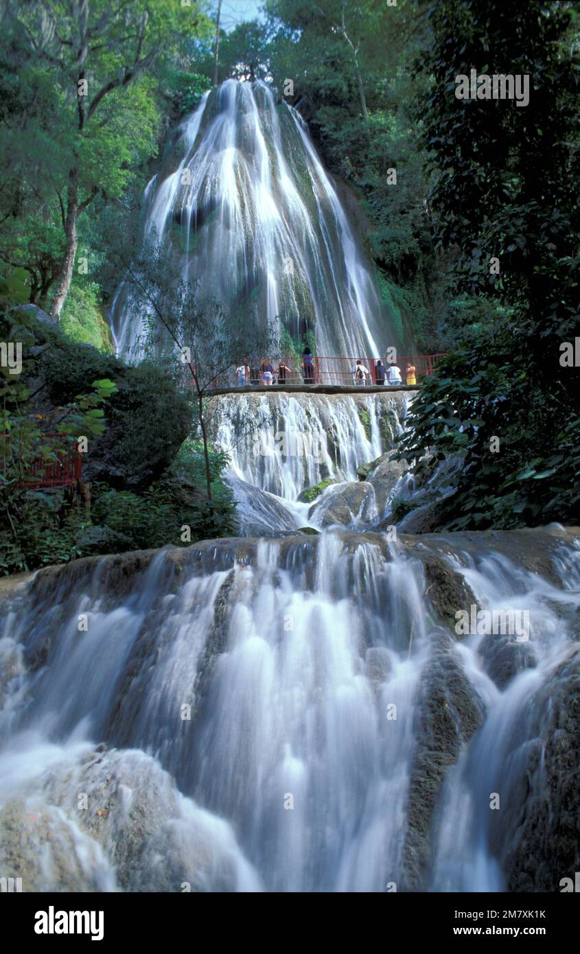 Cascada cola de caballo immagini e fotografie stock ad alta risoluzione ...