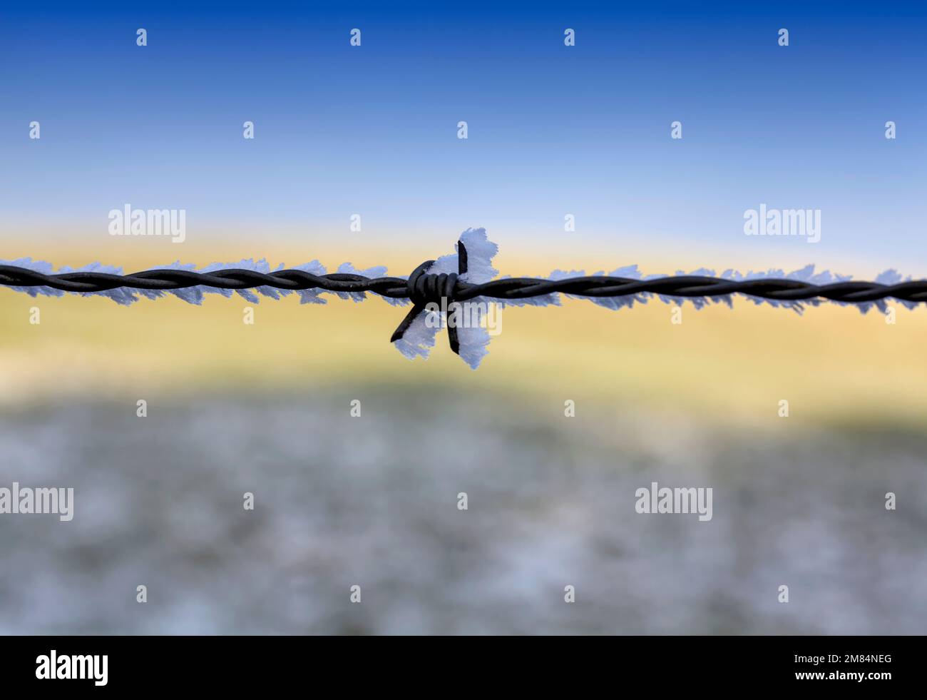 Recinzione di filo spinato brina congelamento freddo immagini e ...