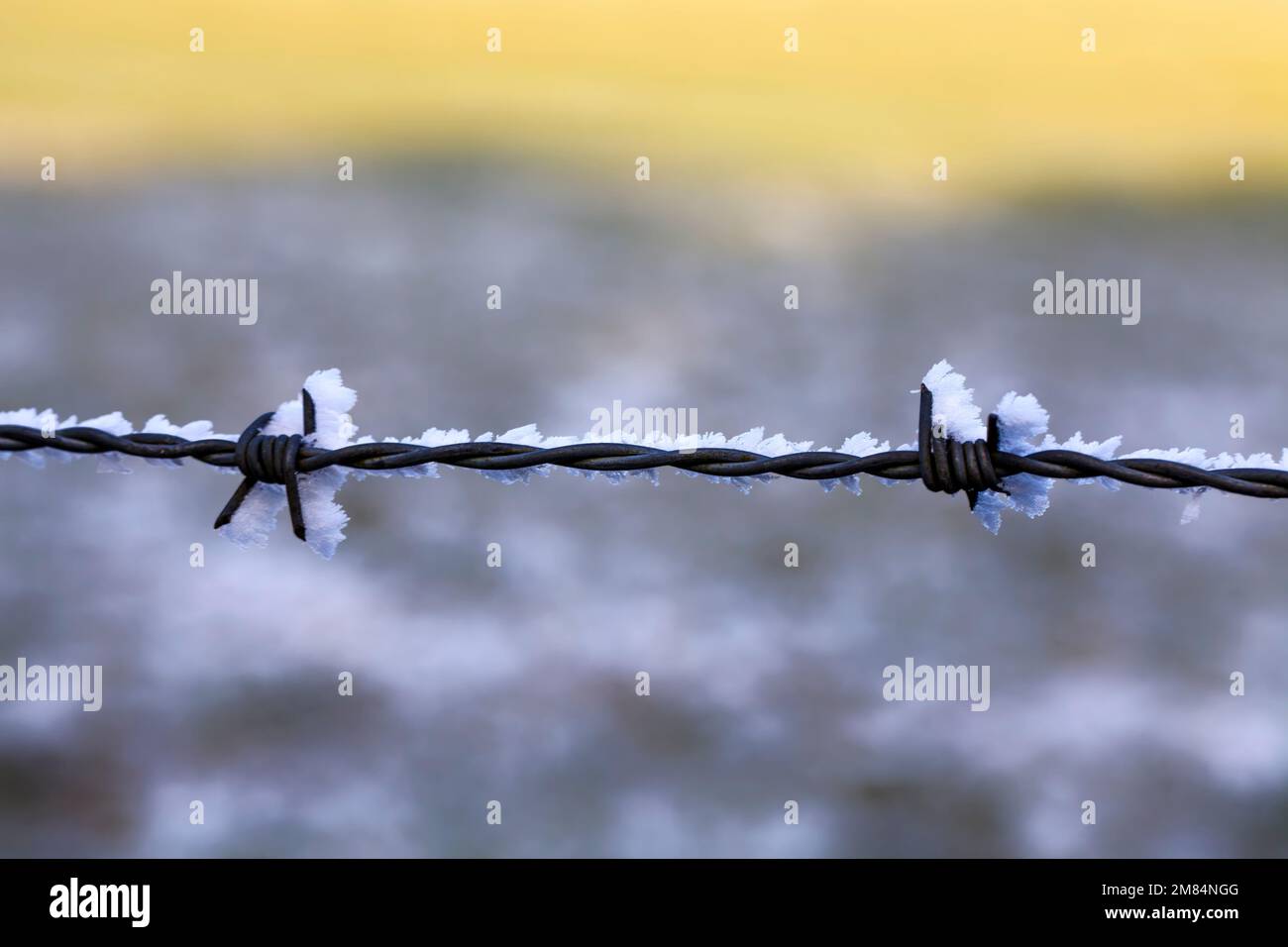 Recinzione di filo spinato brina congelamento freddo immagini e ...