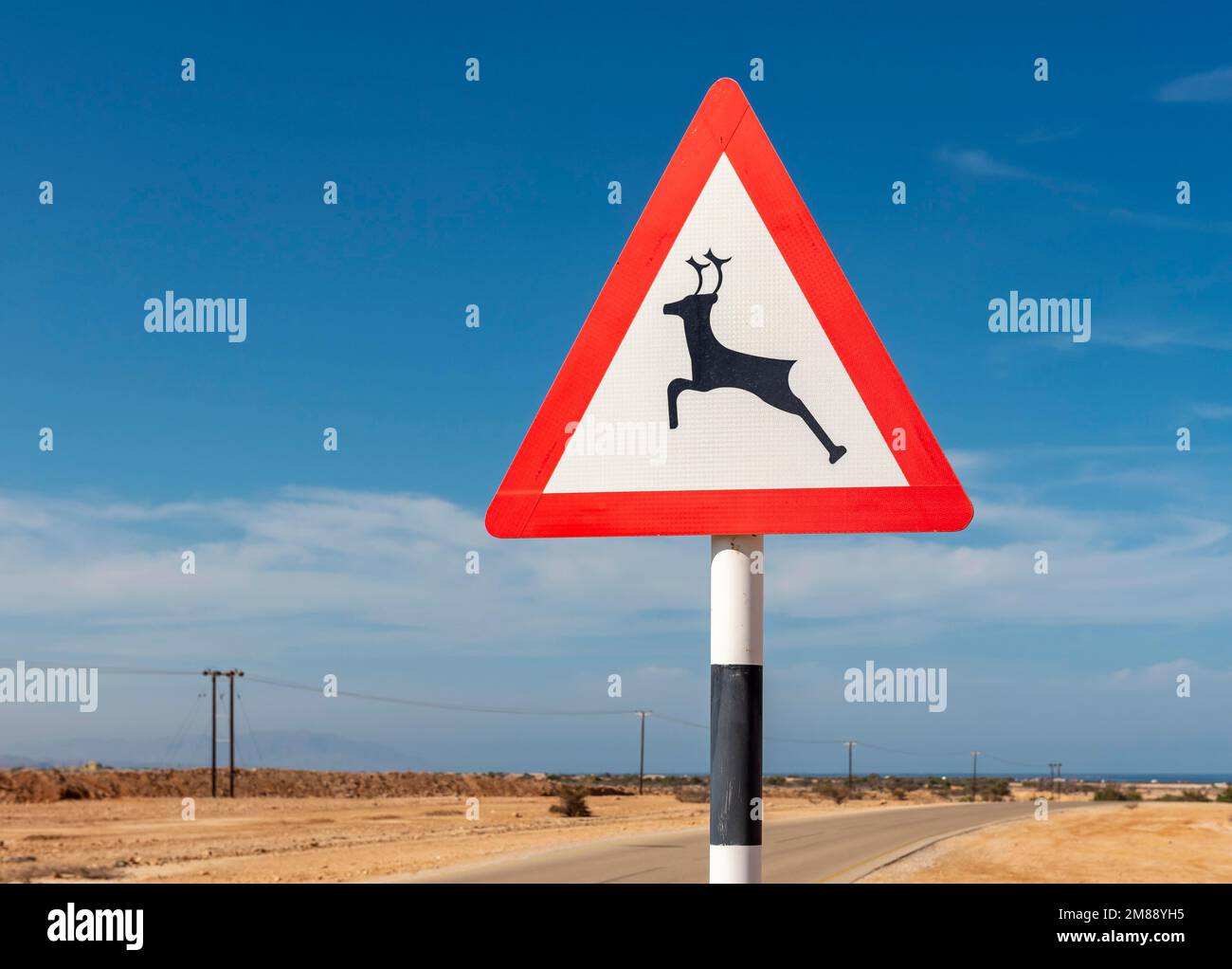 Segnale stradale di cervi o animali selvatici immagini e fotografie ...