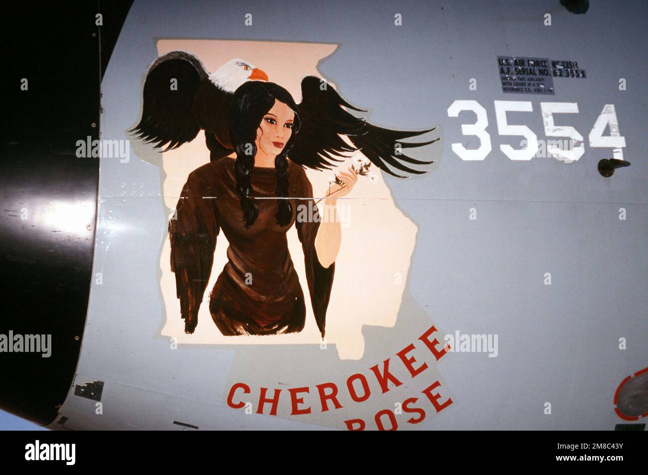 Una vista ravvicinata dell'opera d'arte sul naso di un aereo 19th Aerial Refueling Wing (19th ...