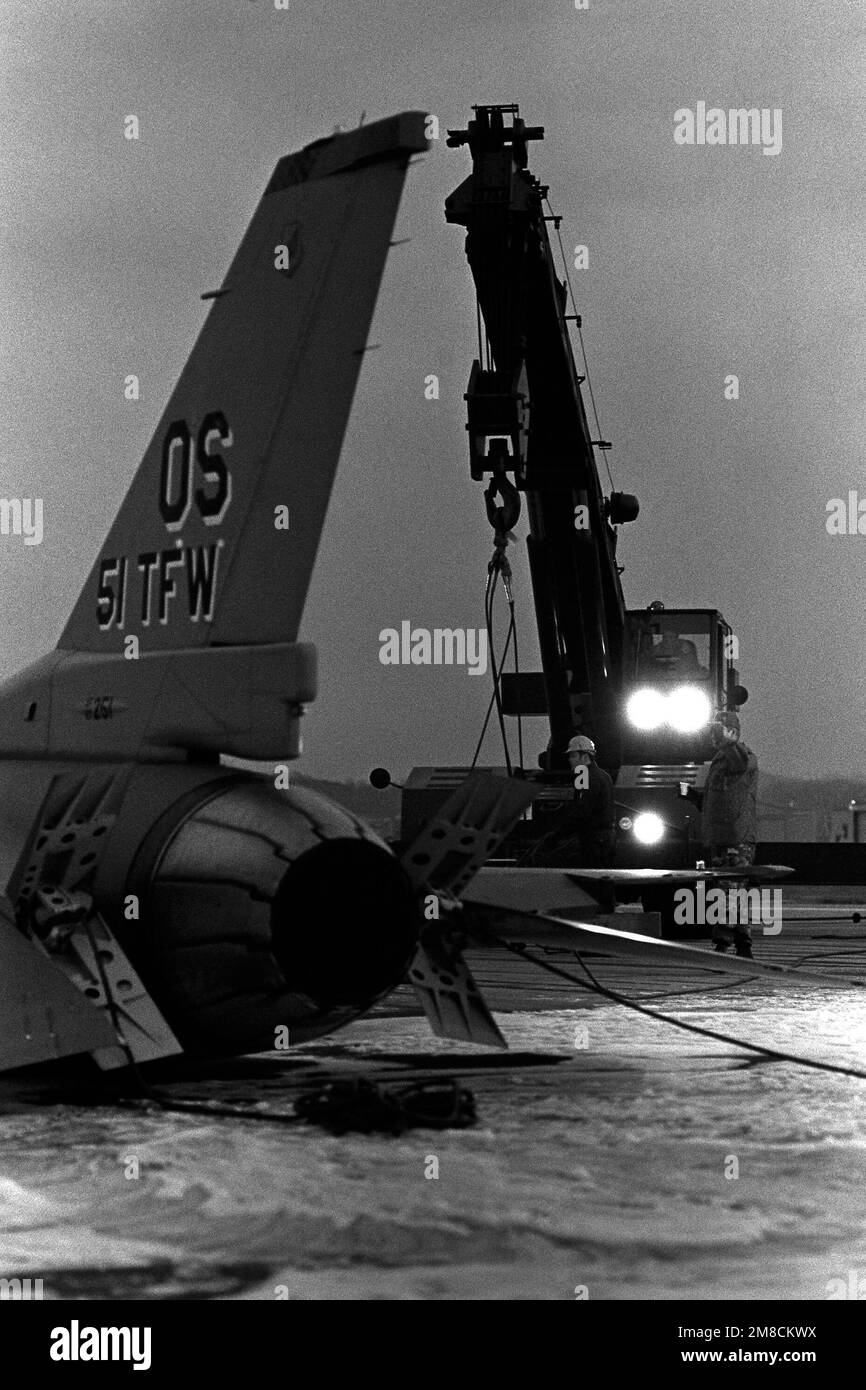 Gru da combattimento Foto e Immagini Stock in Bianco e Nero - Alamy