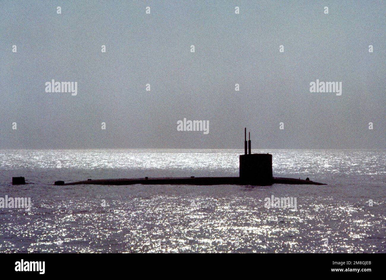 Uss billfish immagini e fotografie stock ad alta risoluzione - Alamy