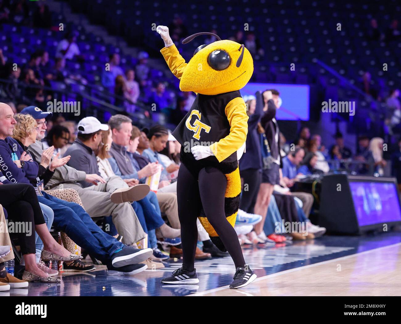 15 gennaio 2023: La mascotte più iconica di Georgia Tech, Buzz, durante ...