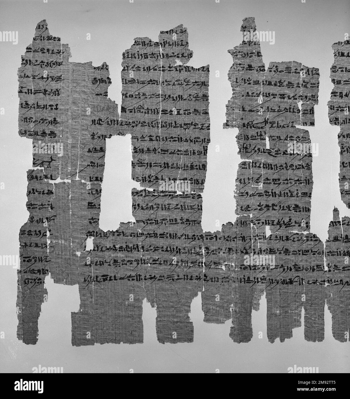 Papiro della saggezza di brooklyn immagini e fotografie stock ad alta ...