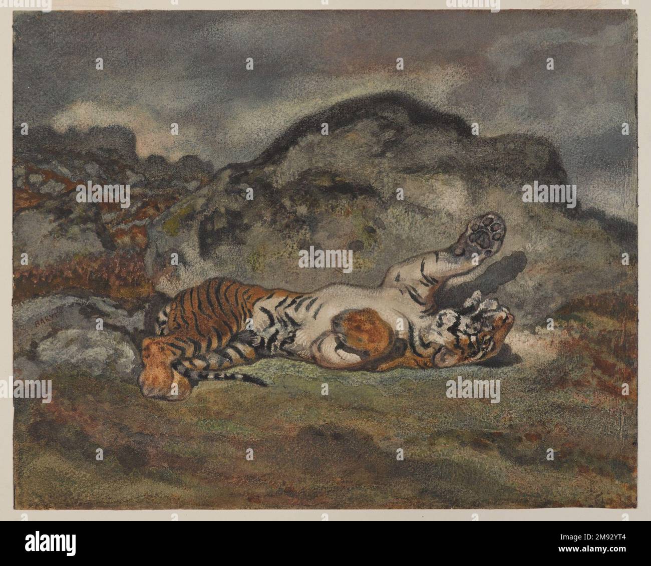 Tiger Rolling (Tigre se roulant) Antoine-Louis Barye (francese, 1795 ...