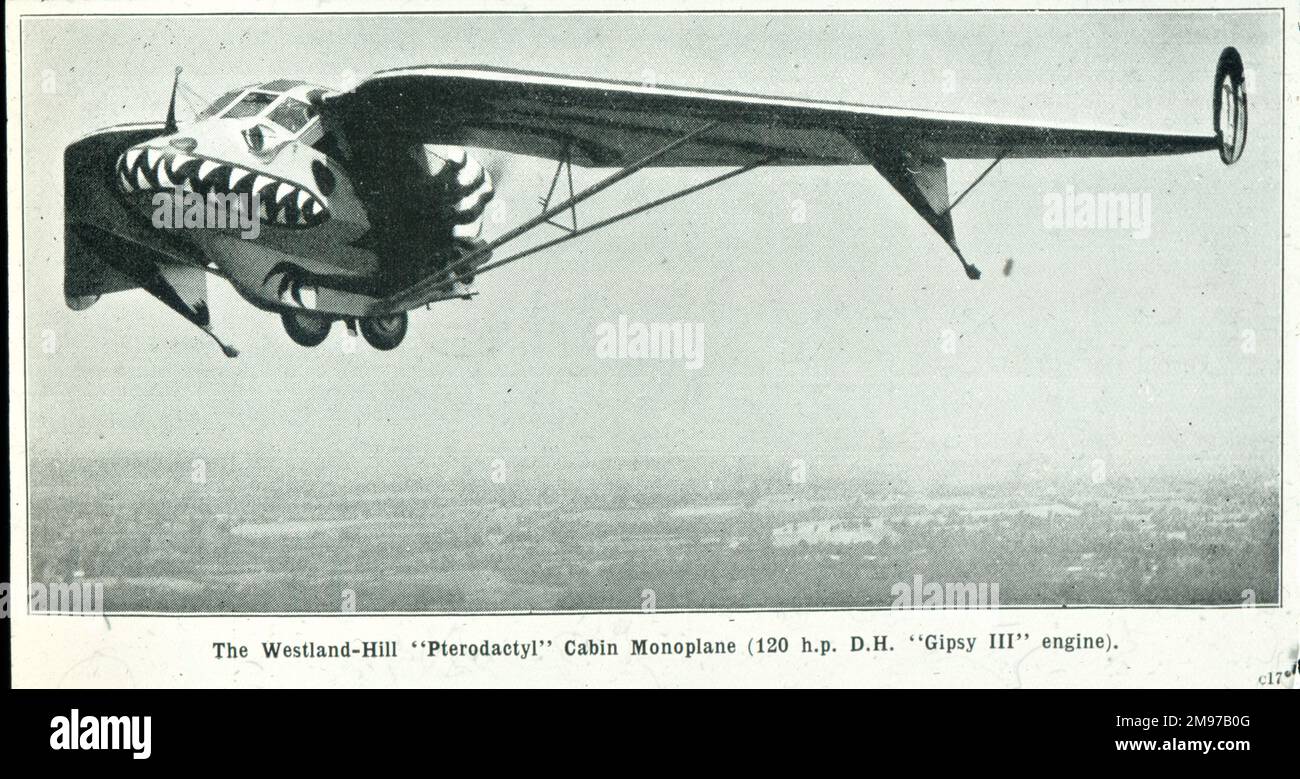 Westland hill pterodactyl immagini e fotografie stock ad alta ...