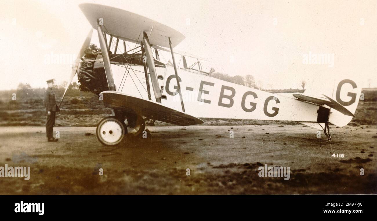 Bristol bloodhound immagini e fotografie stock ad alta risoluzione - Alamy