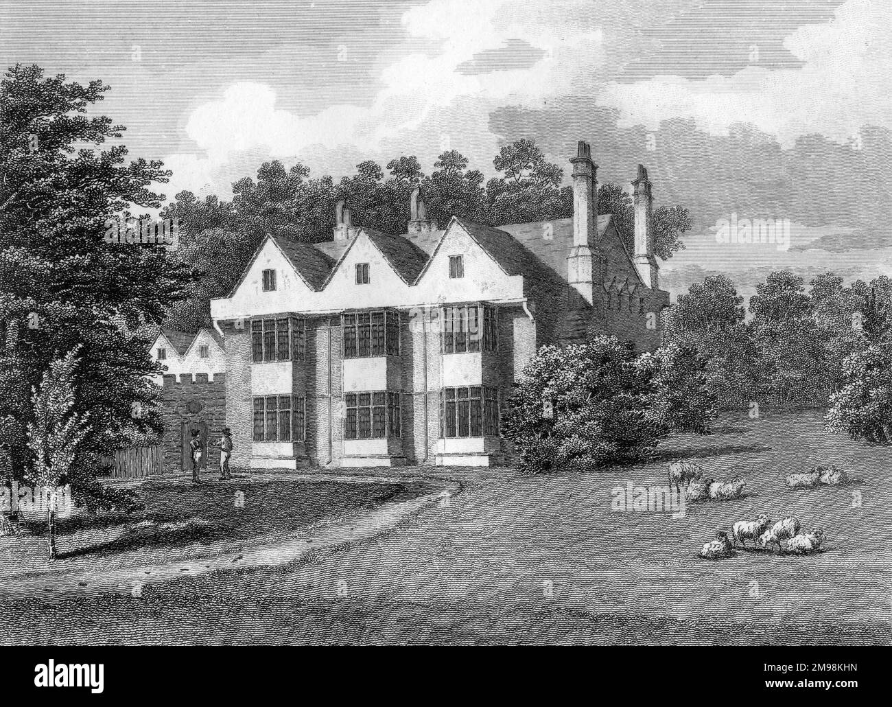 Grass bidborough immagini e fotografie stock ad alta risoluzione - Alamy