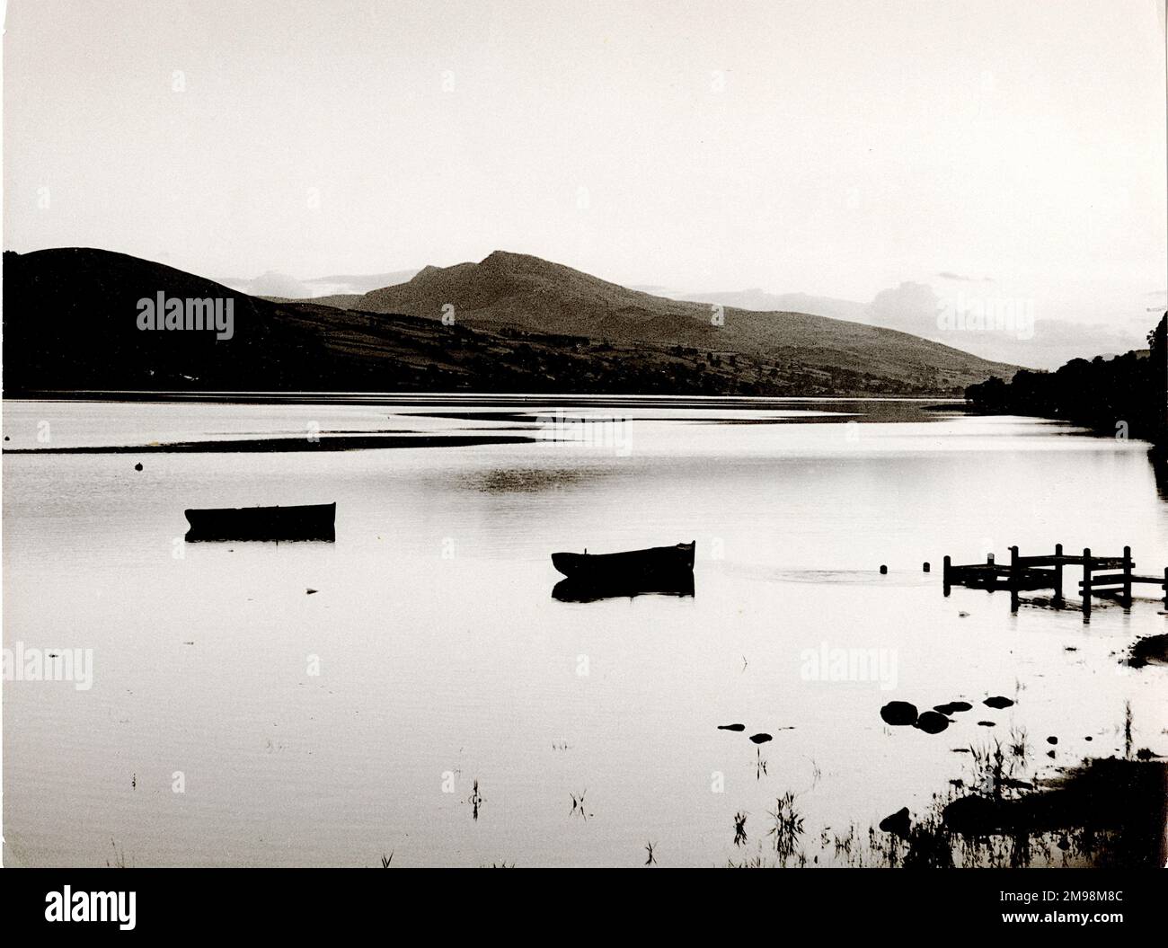 Bala bala immagini e fotografie stock ad alta risoluzione - Alamy